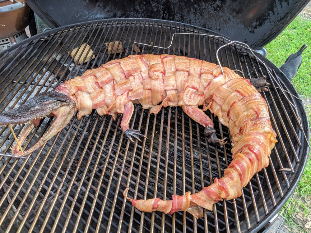 Smoked Whole Alligator! Long Read... but Pics! | Smoking Meat Forums ...